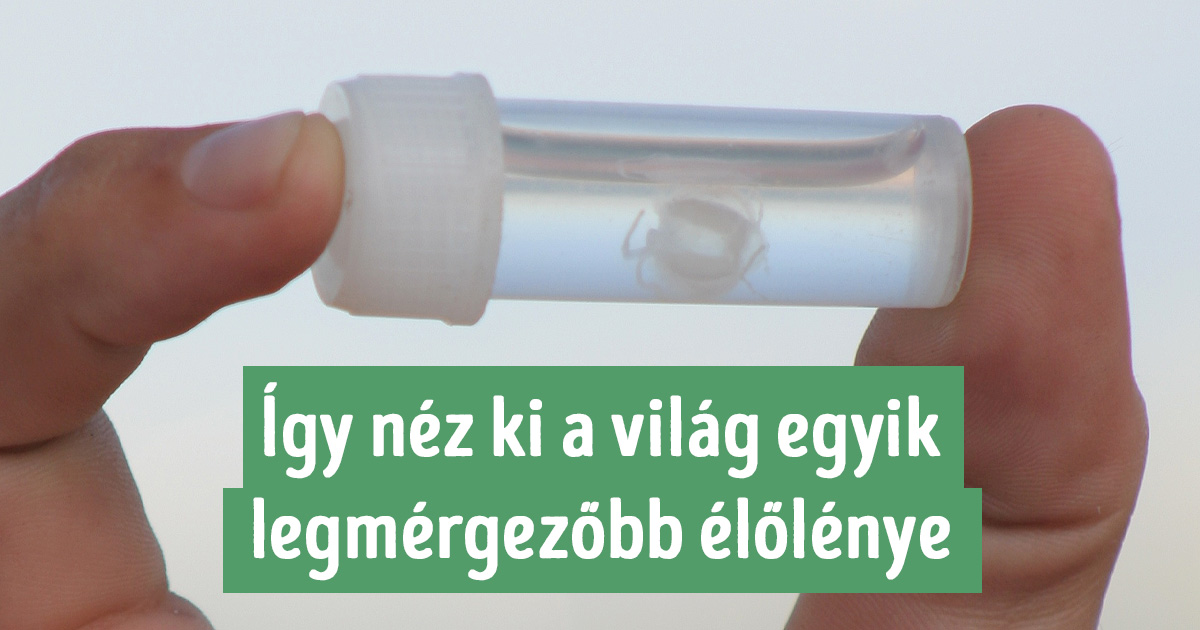 21 dolog, amiről mindannyian hallottunk, de el sem tudjuk képzelni a ...
