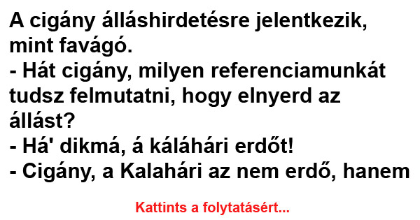 VICC: A cigány álláshirdetésre jelentkezik, mint favágó – Egyhelyen