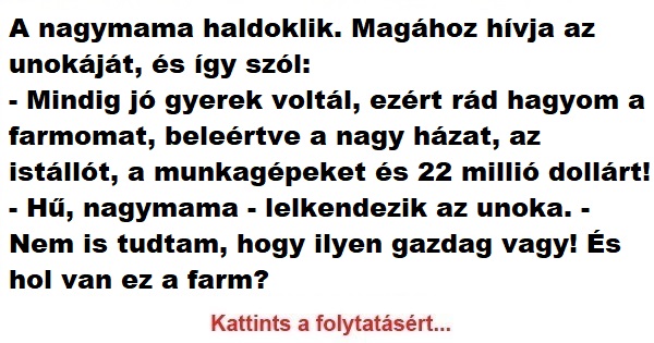 VICC: A nagymama haldoklik – Egyhelyen