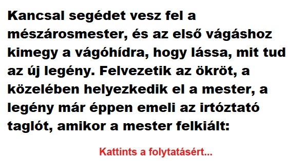 VICC: Kancsal segédet vesz fel a mészárosmester – Egyhelyen