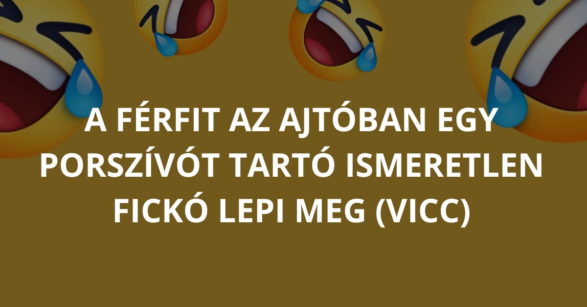 VICC: A férfit az ajtóban egy porszívót tartó ismeretlen fickó lepi meg ... VICC: A férfit az ajtóban egy porszívót tartó ismeretlen fickó lepi meg ...