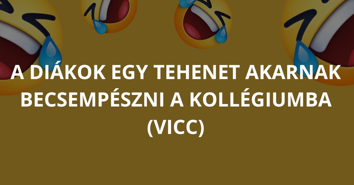 VICC: A diákok egy tehenet akarnak becsempészni a kollégiumba – Egyhelyen